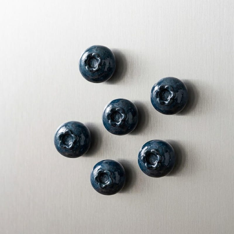 Polymer Clay Magnets Set - Etsy