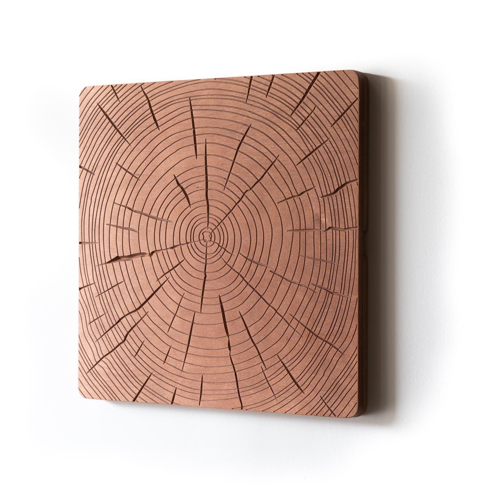 KARVD Timber Wood Carved Wall Panel Tree Ring Carving - Etsy