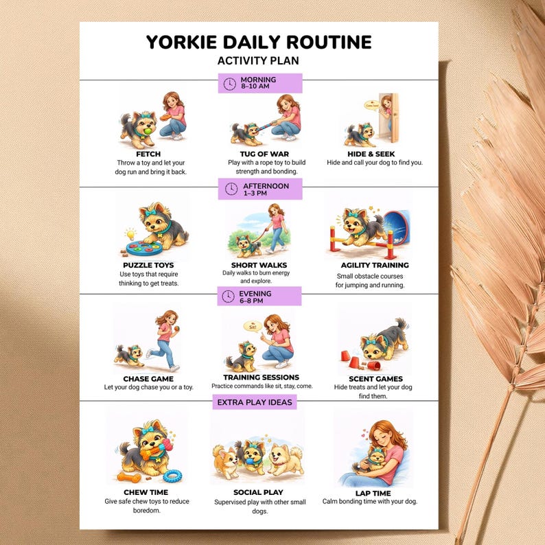 Yorkie Daily Routine Printable, Dog Activity Schedule PDF, Yorkshire ...