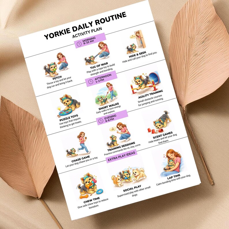 Yorkie Daily Routine Printable, Dog Activity Schedule PDF, Yorkshire ...