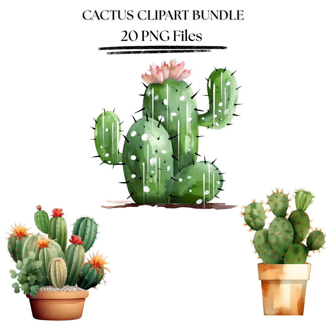 Cactus Clipart PNG Bundle | Watercolor Succulent & Desert Plant ...