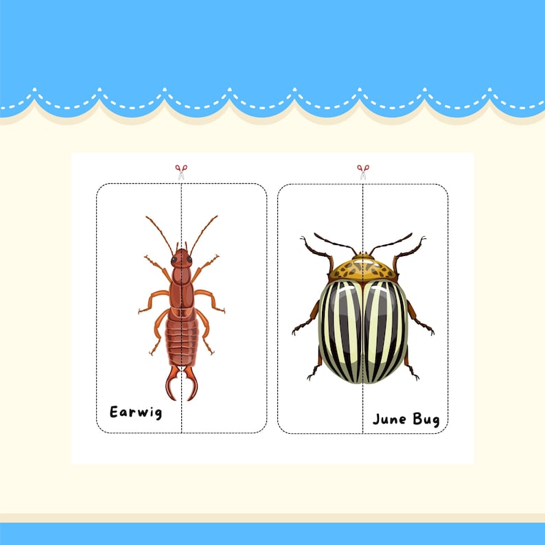 Insects Matching Activity, Montessori Printable, Toddler and Preschool ...