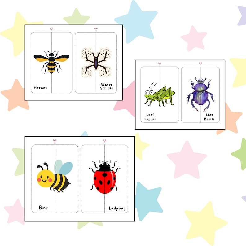 Insects Matching Activity, Montessori Printable, Toddler and Preschool ...