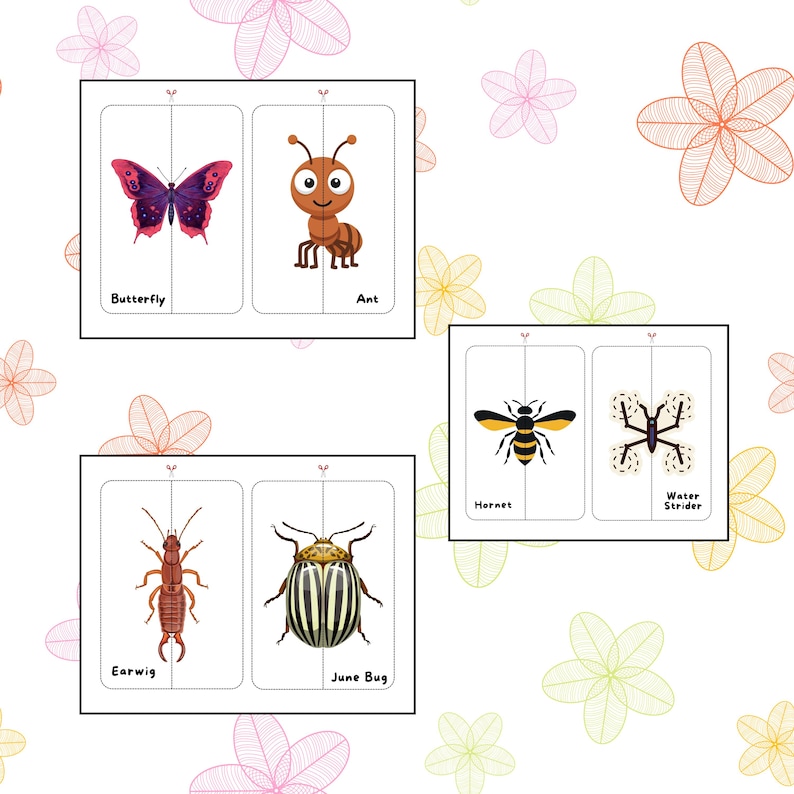 Insects Matching Activity, Montessori Printable, Toddler and Preschool ...