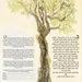 Jerusalem Tree of Life Ketubah Print Giclee-various - Etsy