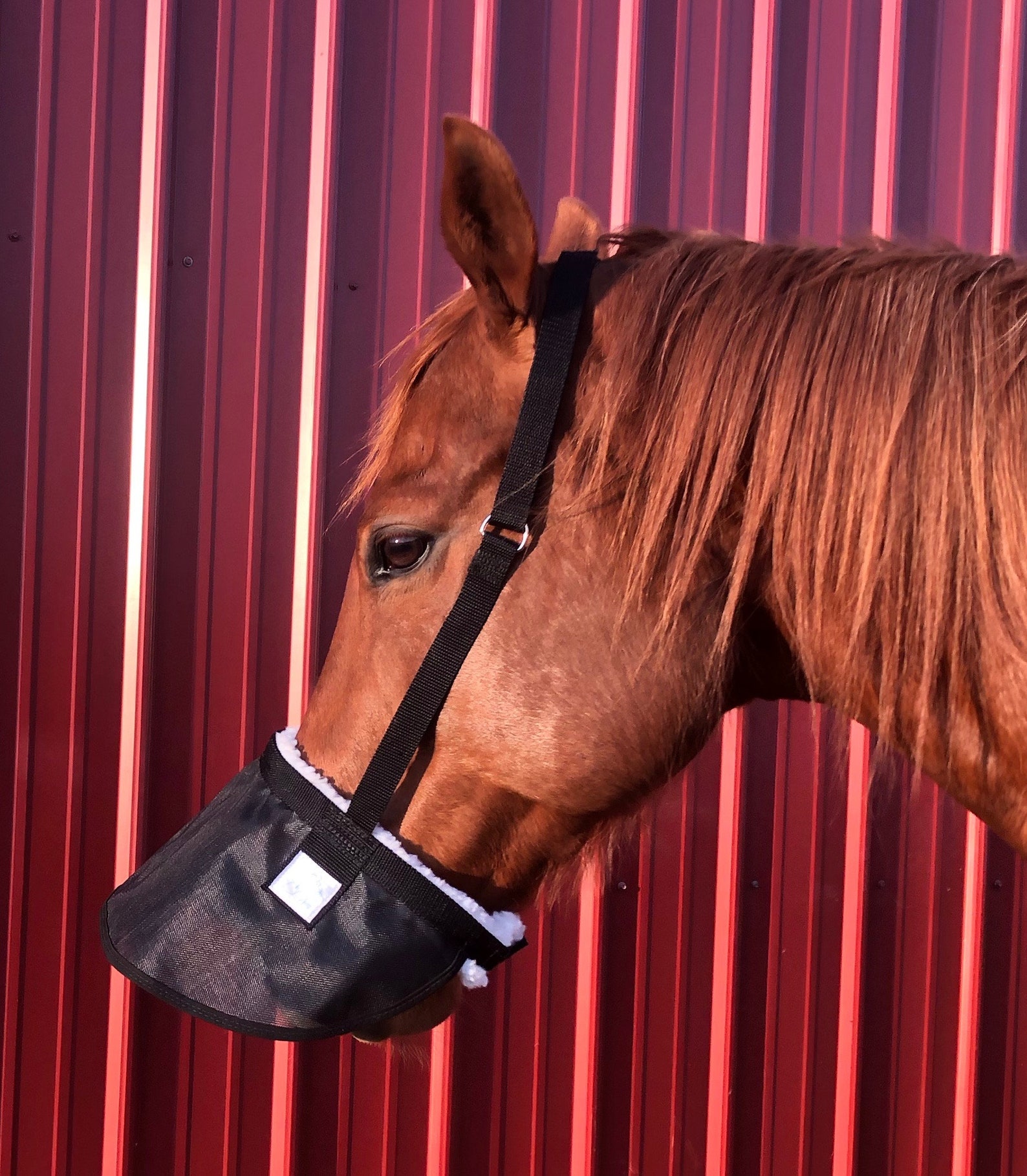 Halter Free Nose Shade With Sheepskin Lining - Etsy