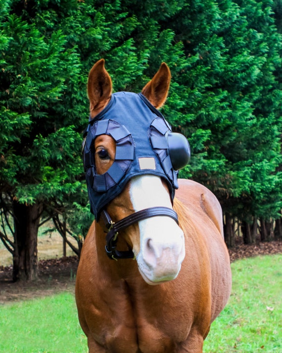 Horse Eye Blinders