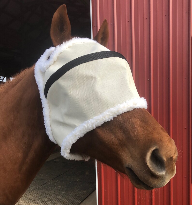 High Brow Eye Protection Shade With Sheepskin Lining - Etsy