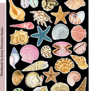 Sea Shells, Handmade . Easy Peel Sticker Sheet - Etsy