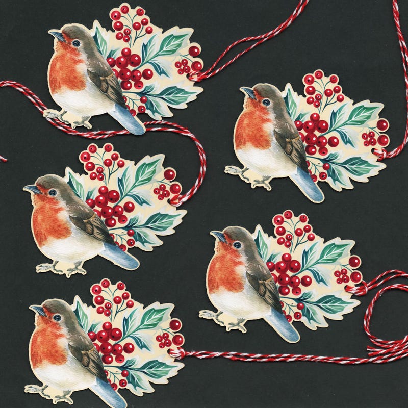 Robin Gifts - 60+ Gift Ideas for 2025