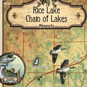Rice Lake Chain of Lakes Minnesota Historic Map Art Print Poster ...