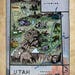 237 Illustrated Map of Utah, C. 1950's Vinatge Historic Antique Map ...