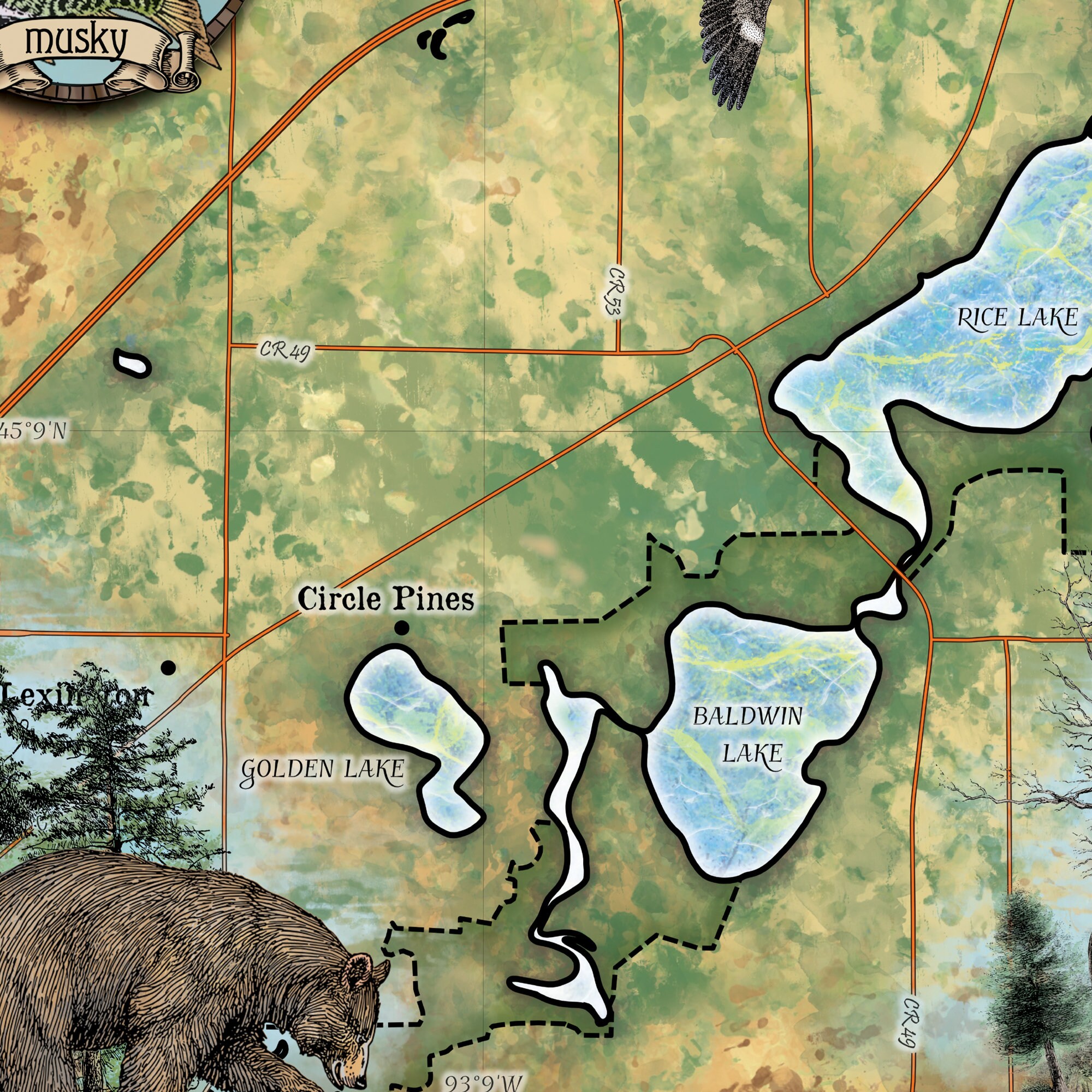 Rice Lake Chain of Lakes Minnesota Historic Map Art Print - Etsy