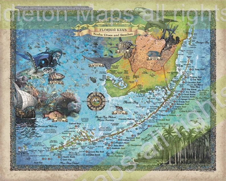 Florida Keys Scuba Diving map Key west map Coastal Vintage | Etsy