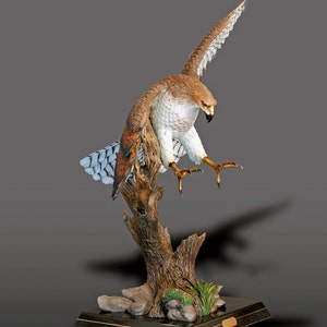 Bronze "red-tailed Hawk" Sculpture by Barry Stein / Life Size ...