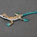 Lizard Bronze Reptile rango Gecko Figurine Statue Sculpture Art ...