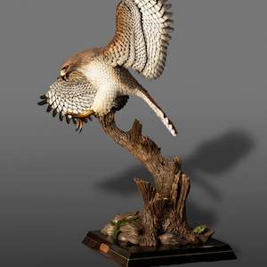 Bronze "red-tailed Hawk" Sculpture by Barry Stein / Life Size ...