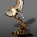 Bronze "red-tailed Hawk" Sculpture by Barry Stein / Life Size ...