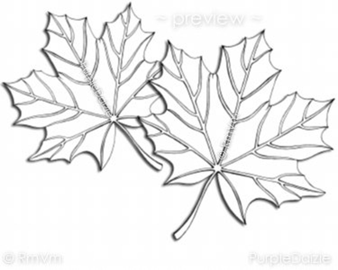 Printable Color Page Digital Coloring Sheet Zen Doodle Maple Leaves ...