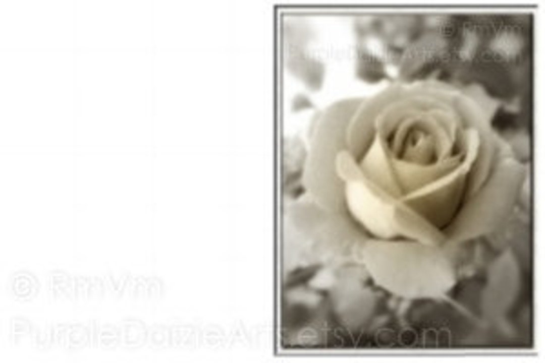 Rose Printable Blank Card - Beige Colour - Sepia Flower Front - Blank ...