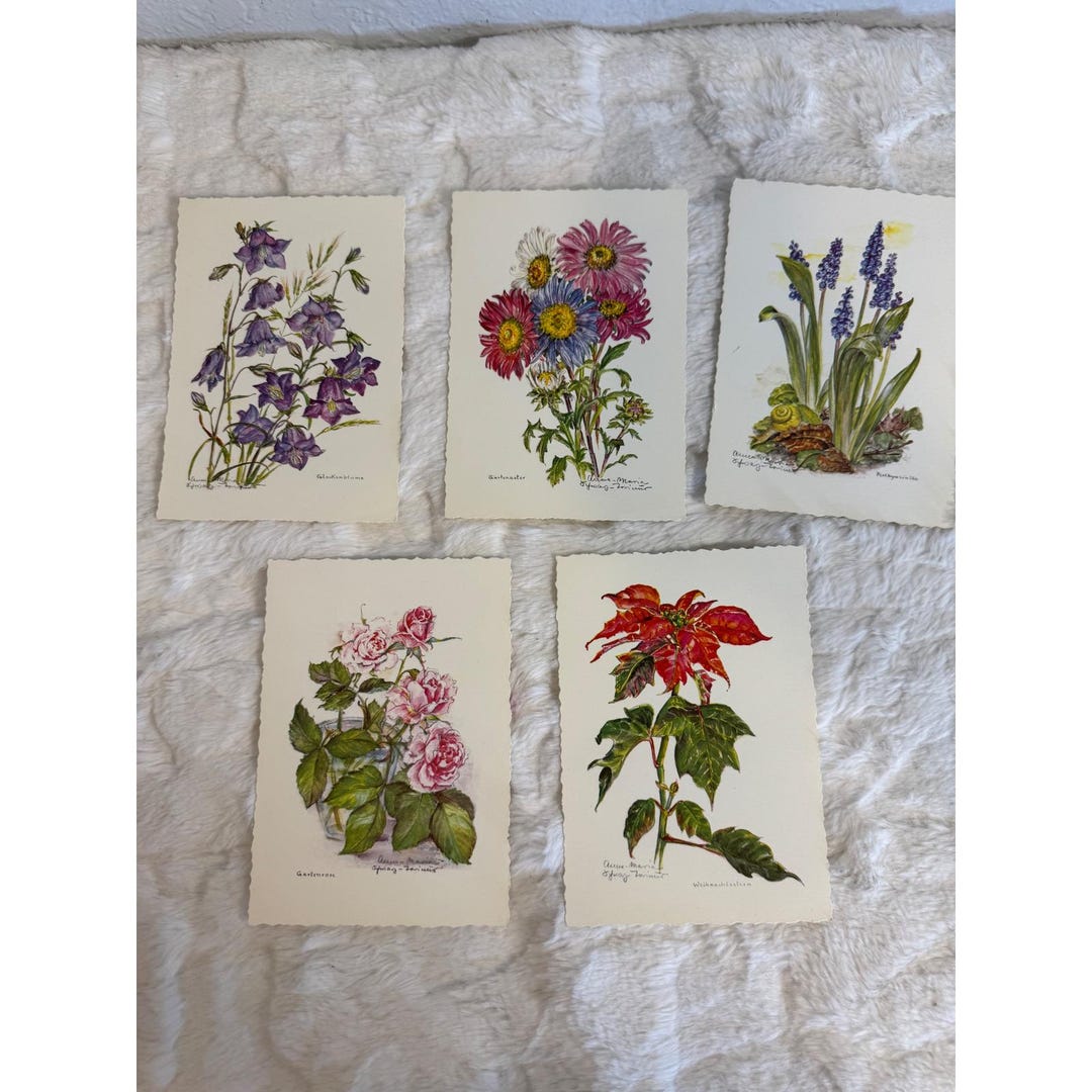 5 Vintage Anna Maria Scholz-zink Botanical Postcards Edition Korsch ...