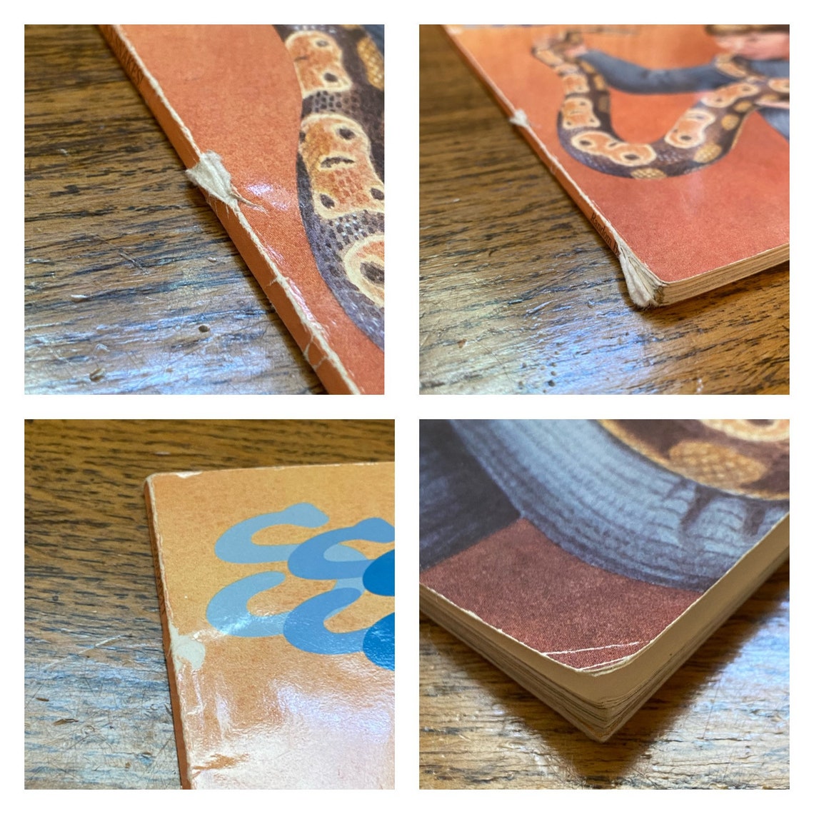 VINTAGE SNAKE CHILDREN Book vintage picture snake book snake - Etsy España