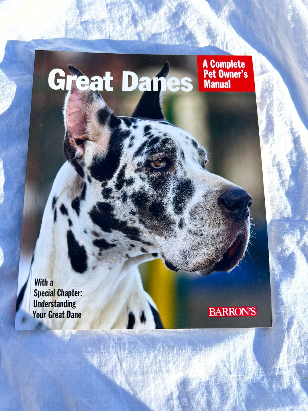 VINTAGE GREAT DANE Book,vintage Great Dane Dog Book,great Dane Pet Book ...