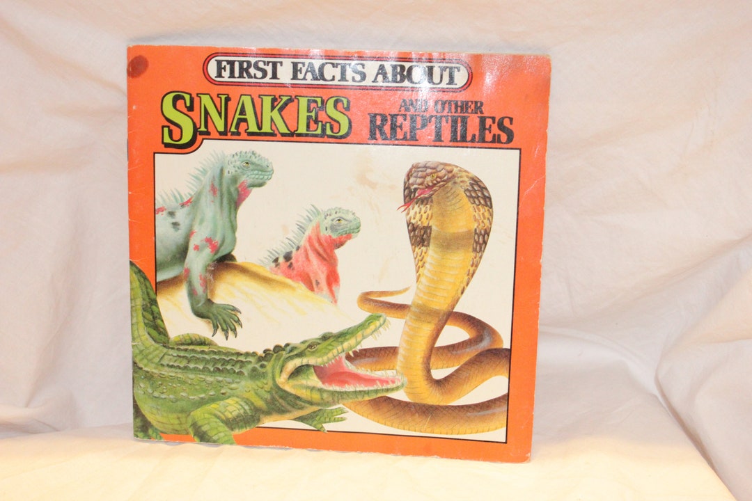 VINTAGE SNAKE CHILDREN Book,vintage Picture Snake Book,snake Vintage ...