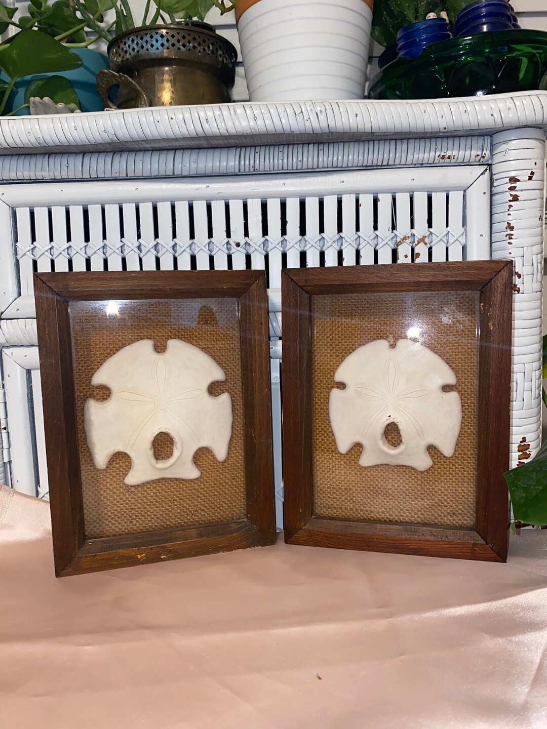 SAND DOLLAR VINTAGE Decor,sand Dollar Frames,coastal Vintage Decor ...