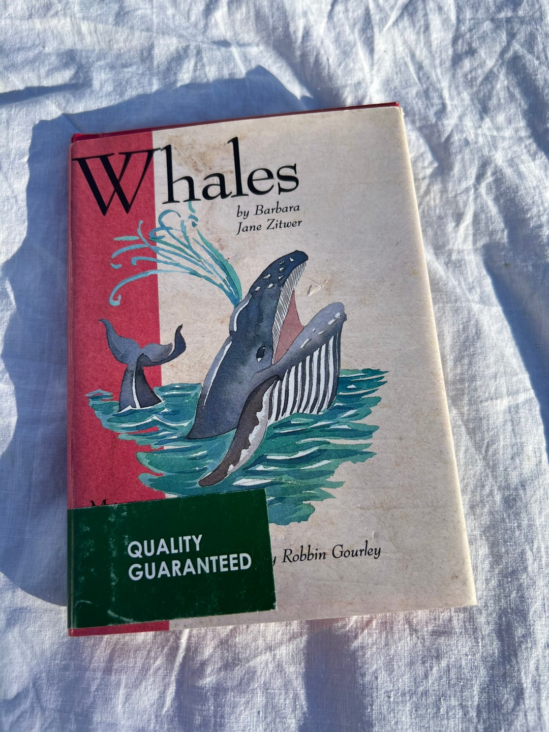 VINTAGE WHALE ILLUSTRATED Book,vintage Whale Book,vintage Whale Photo ...