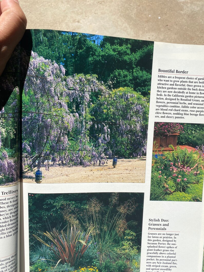 VINTAGE GARDEN Bookreading Garden Book Cornerflower Garden - Etsy