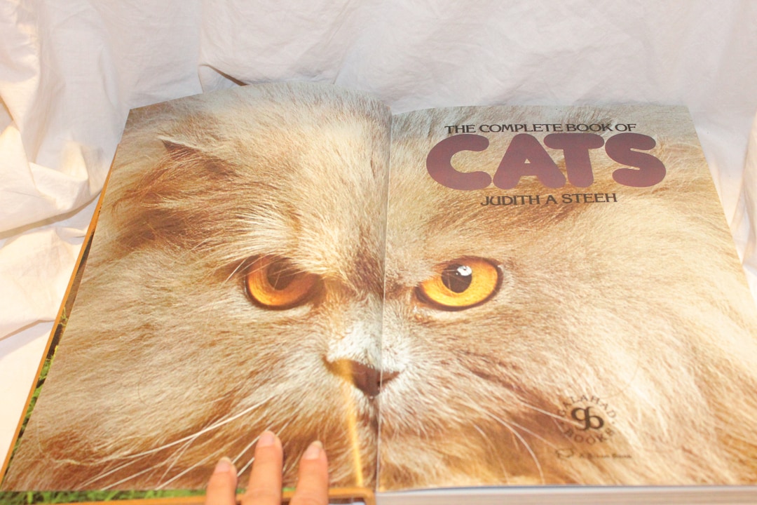 VINTAGE CAT PICTURE Book,vintage Photo Cat Book,vintage Kitty Book ...