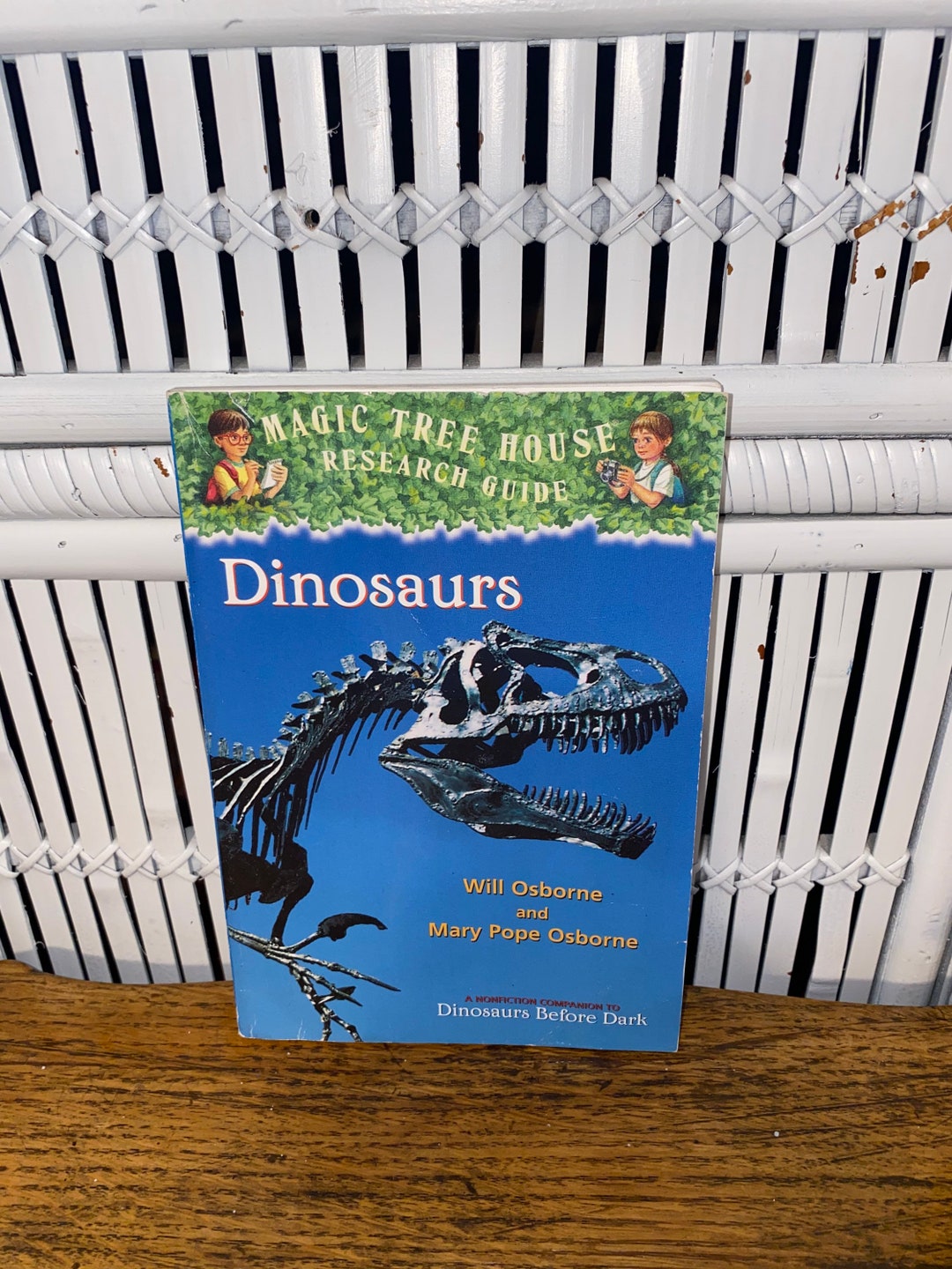 VINTAGE DINOSAUR CHILDREN Book,vintage Dinosaur Book Nook Illustration ...