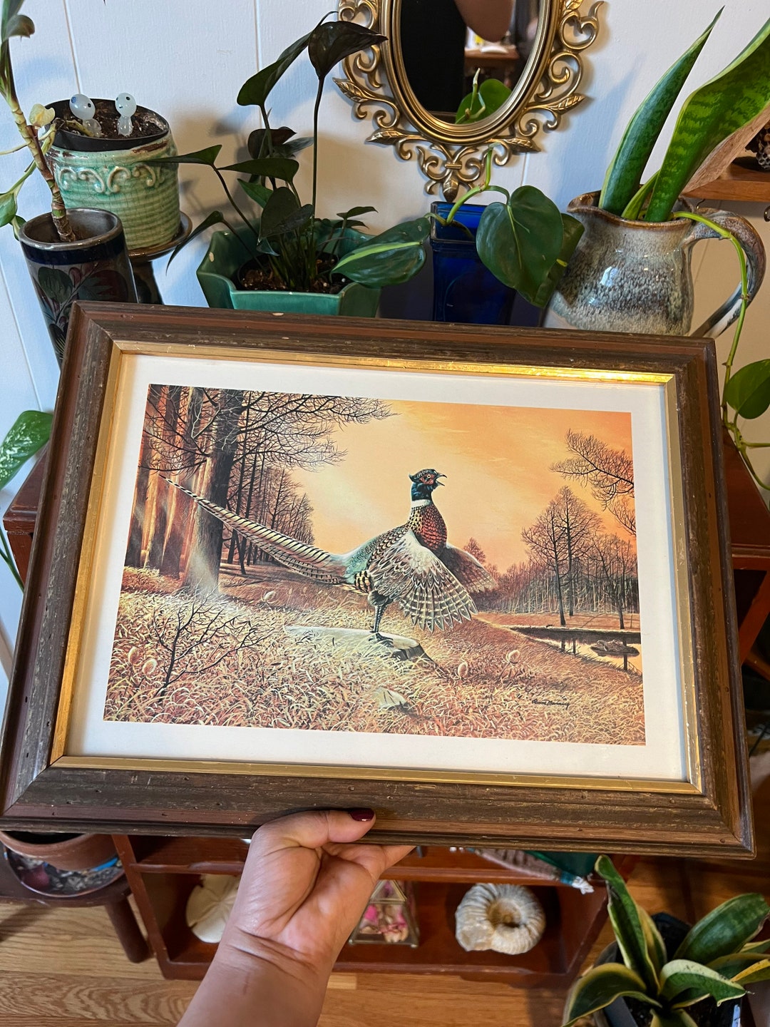 VGT RUANE MANNING Art,vintage Ruane Manning Print,vintage Pheasant ...