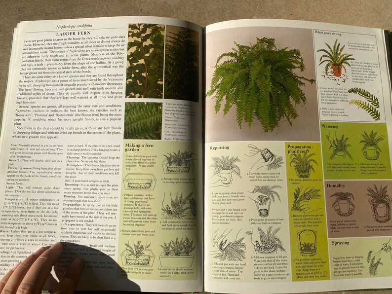70s PICTURE HOUSEPLANT Book,vintage Houseplant Book,vintage House Plant ...