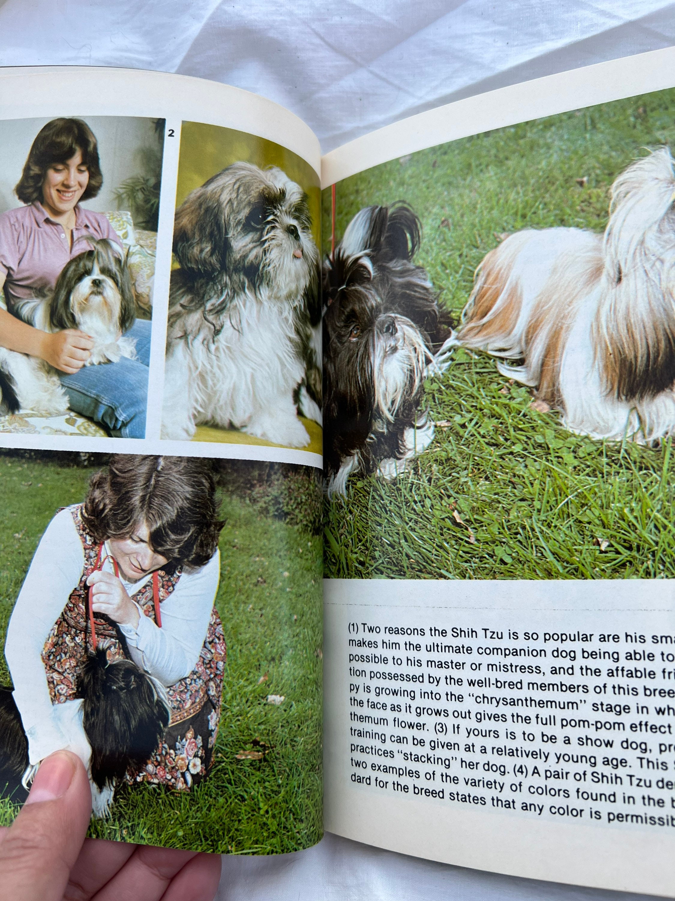 VINTAGE SHIH TZU Book,vintage Shih Tzu Dog Book,shih Tzu Pet Book ...