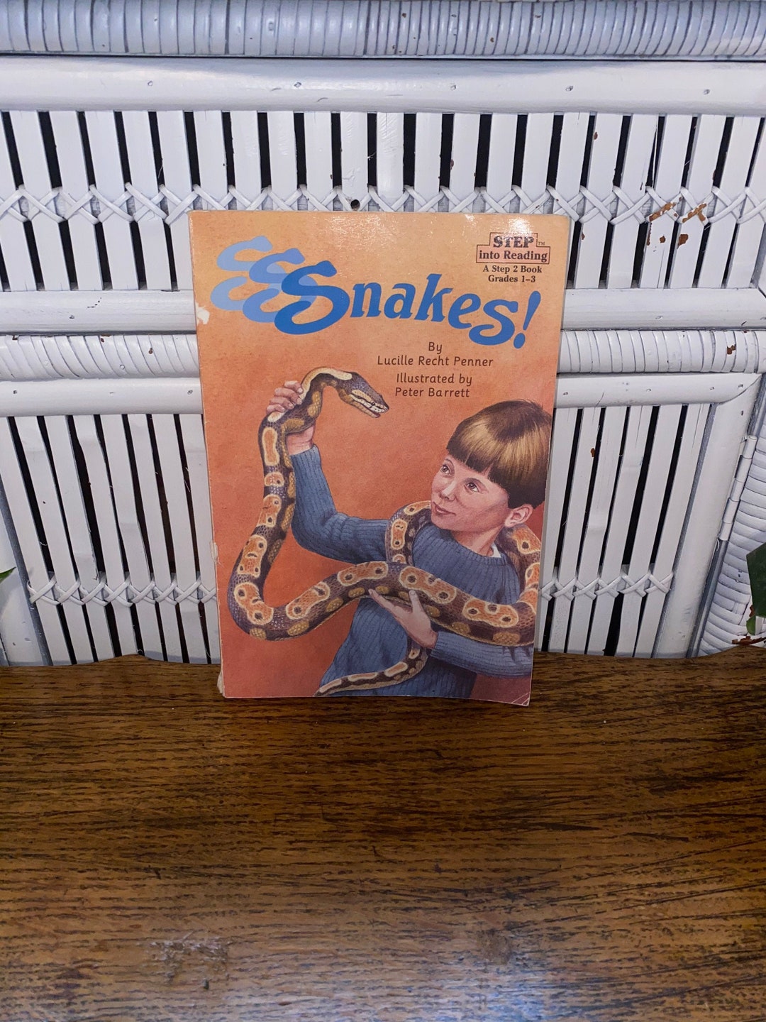 VINTAGE SNAKE CHILDREN Book,vintage Picture Snake Book,snake Vintage ...
