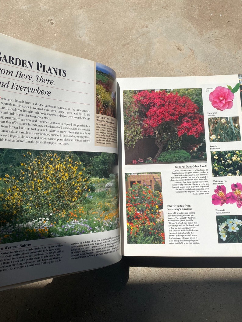 VINTAGE GARDEN Bookreading Garden Book Cornerflower Garden - Etsy