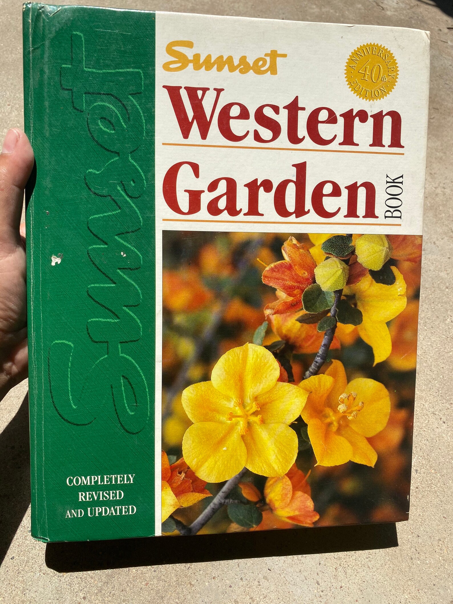 VINTAGE GARDEN Bookreading Garden Book Cornerflower Garden - Etsy