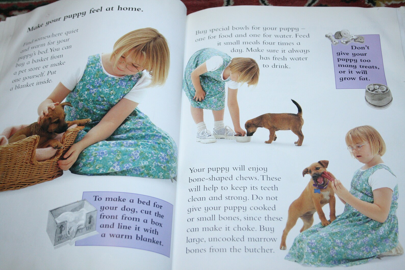 My PET PUPPY BOOKpuppy bookdog bookpuppies bookchildren | Etsy