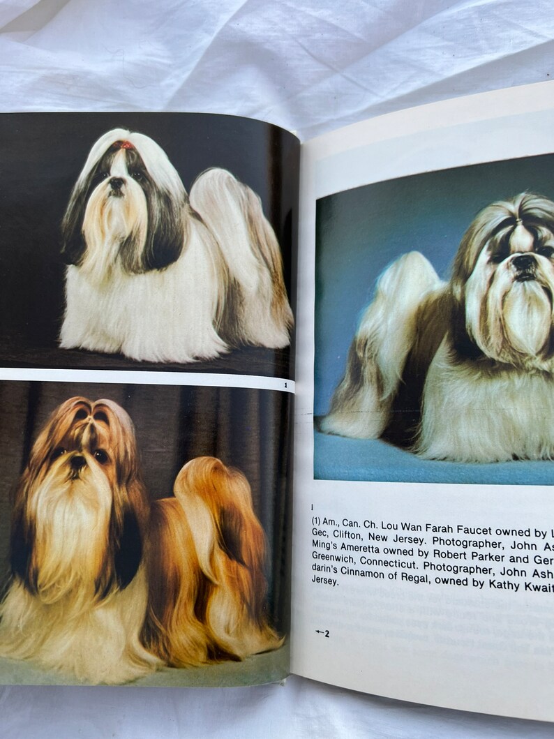 VINTAGE SHIH TZU Book,vintage Shih Tzu Dog Book,shih Tzu Pet Book ...
