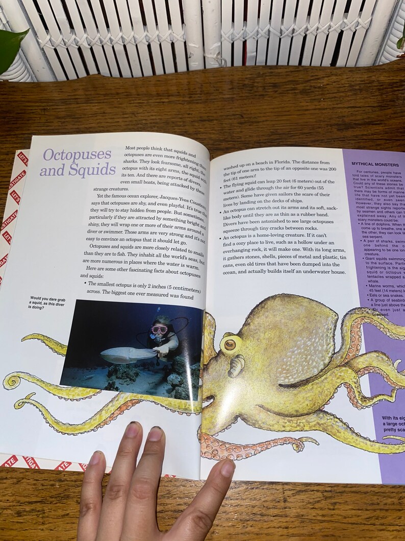 VINTAGE CHILDREN SEA Creatures Book,vintage Children Shark Book,vintage ...