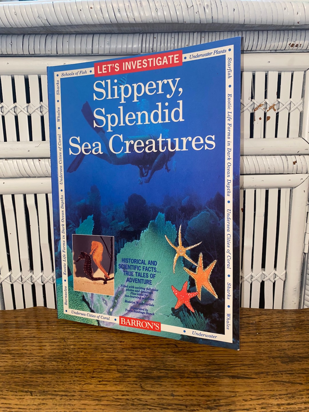 VINTAGE CHILDREN SEA Creatures Book,vintage Children Shark Book,vintage ...