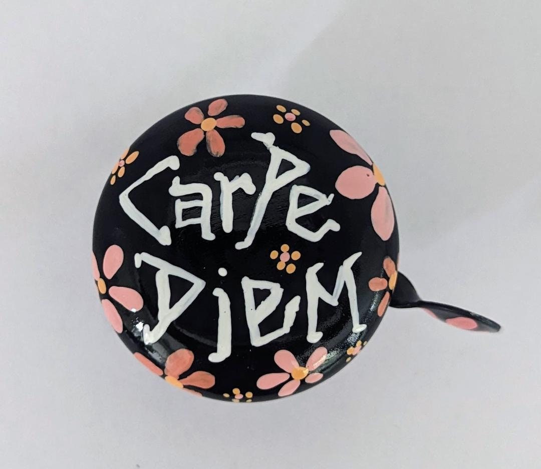 Pink Bike Bell, Painted Bike Bell, Carpe Diem, Seize the Day, Pink ...