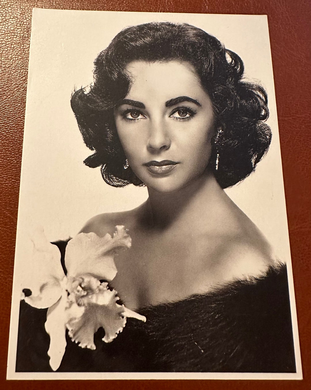 Hollywood Film Star Postcard, ELIZABETH TAYLOR 1950s Repro Postcard - Etsy