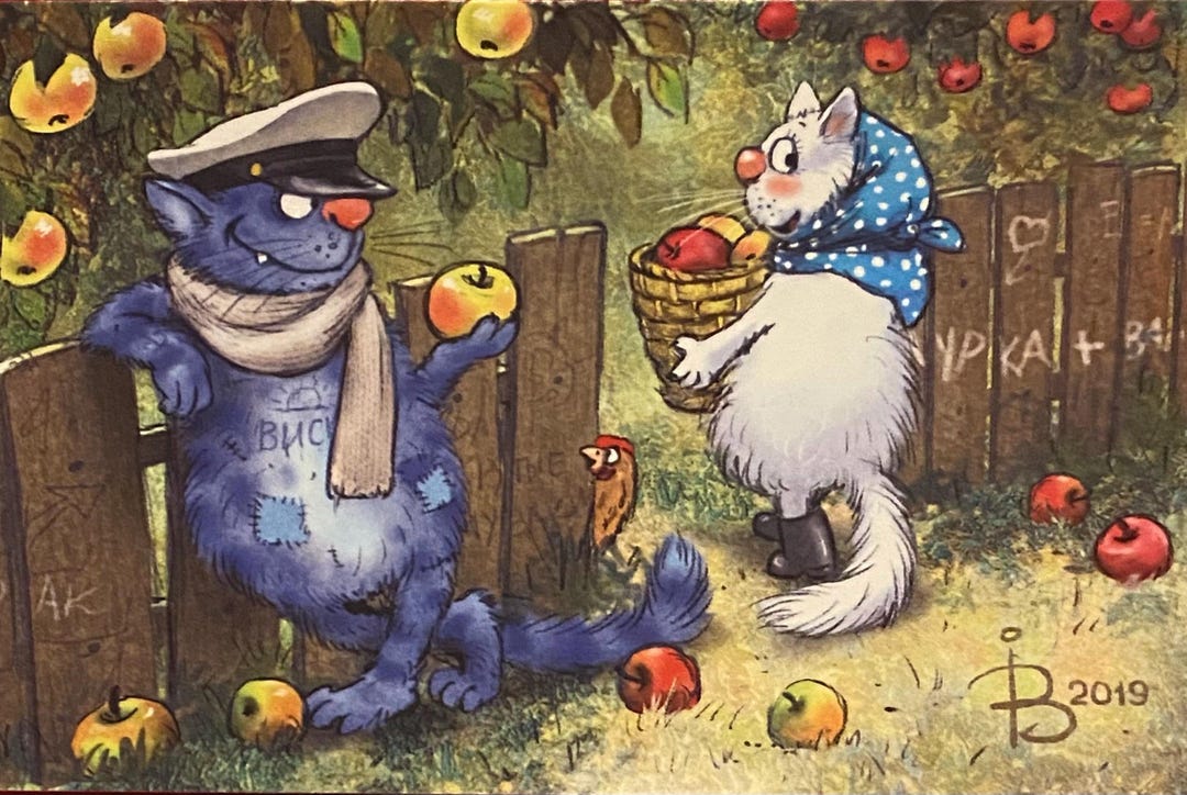 Artisan Blue Cat Postcards, Don’t Take Treats From Strangers - Etsy