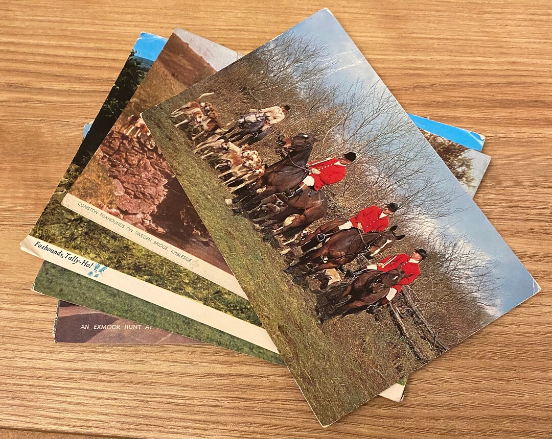 The Hunt Postcards, Irish Thoroughbreds Artist Henry Koehler, Deauville ...