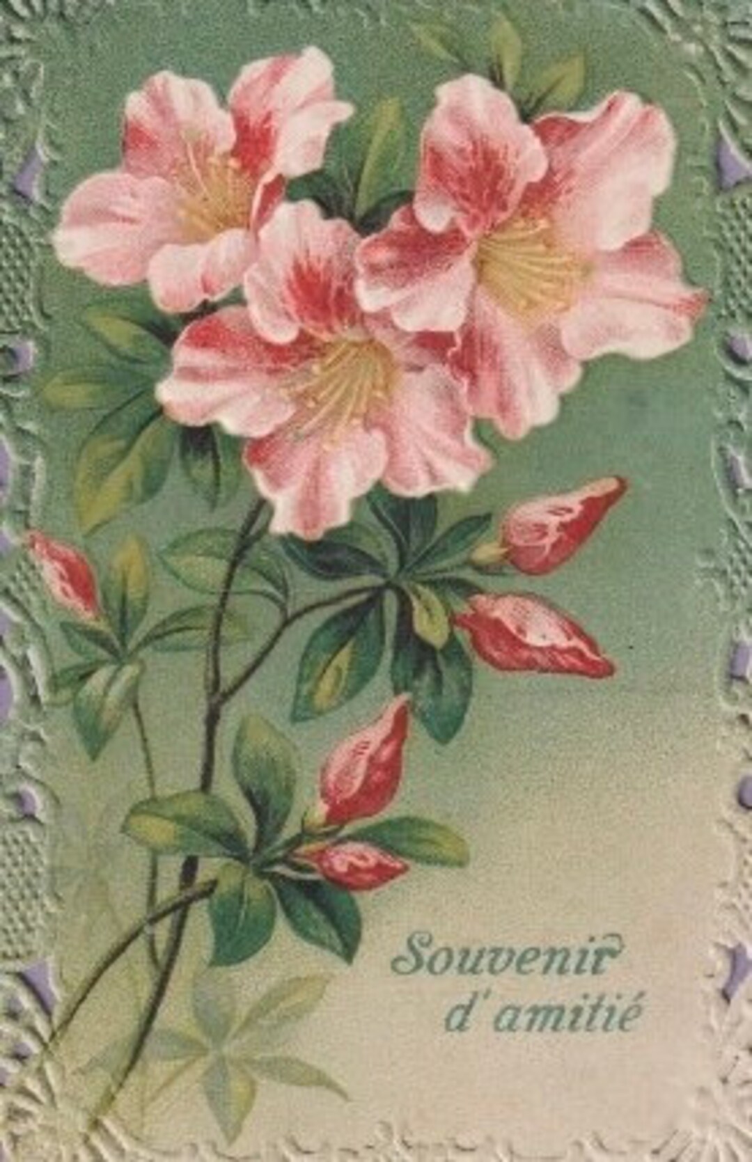 French Antique Postcard 1900s, Embossed Pink Wildflowers Briar Rose ...