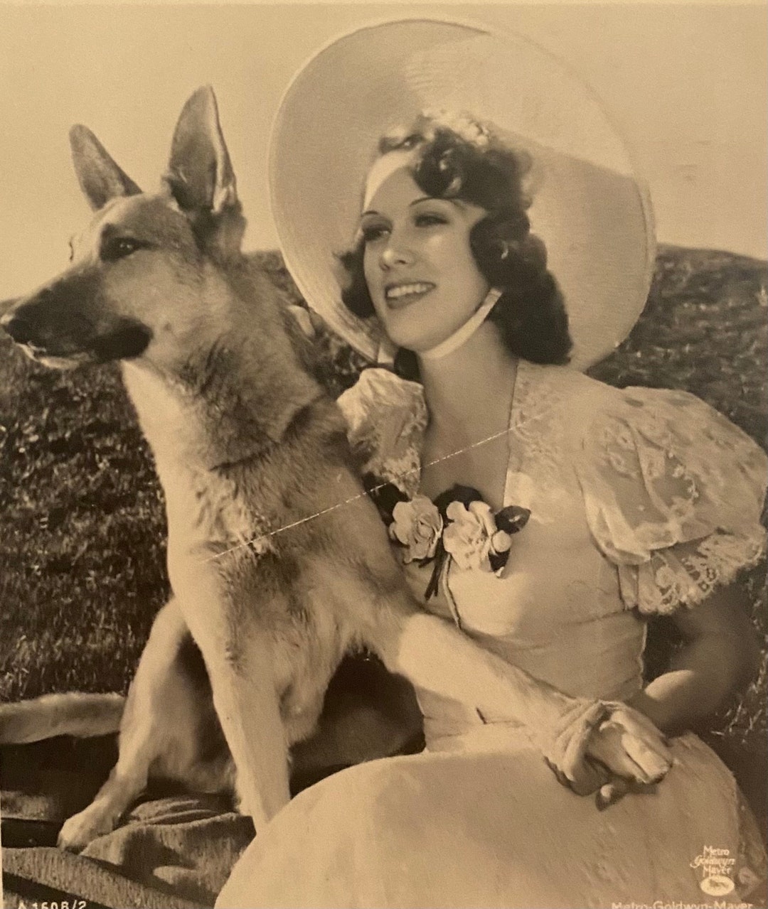 Ross Verlag Postcard of Eleanor Powell With Her Dog // American Actress, Dancer // MGM Studios ...