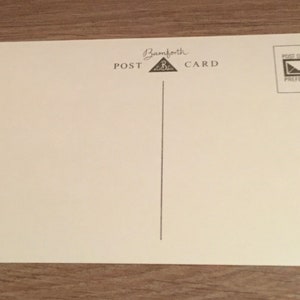 Cats Saucy British Humour, Early 20th Century Postcard, Bamforth ...